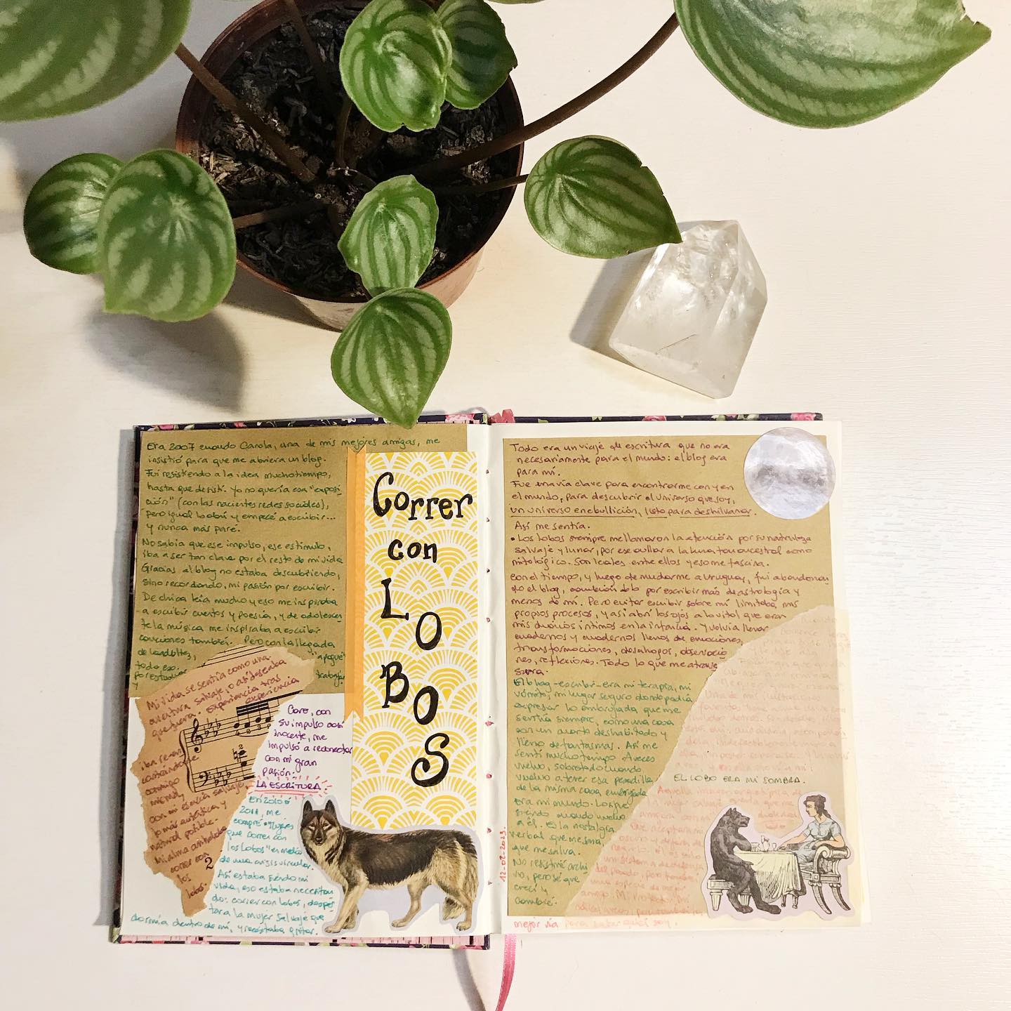 Correr con Lobos • Ale Modarelli